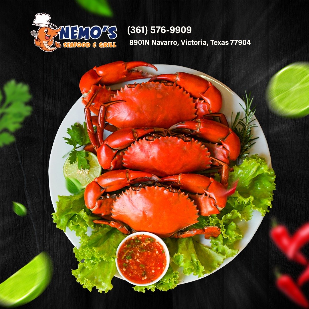About Us – Nemo's Seafood and Grill
